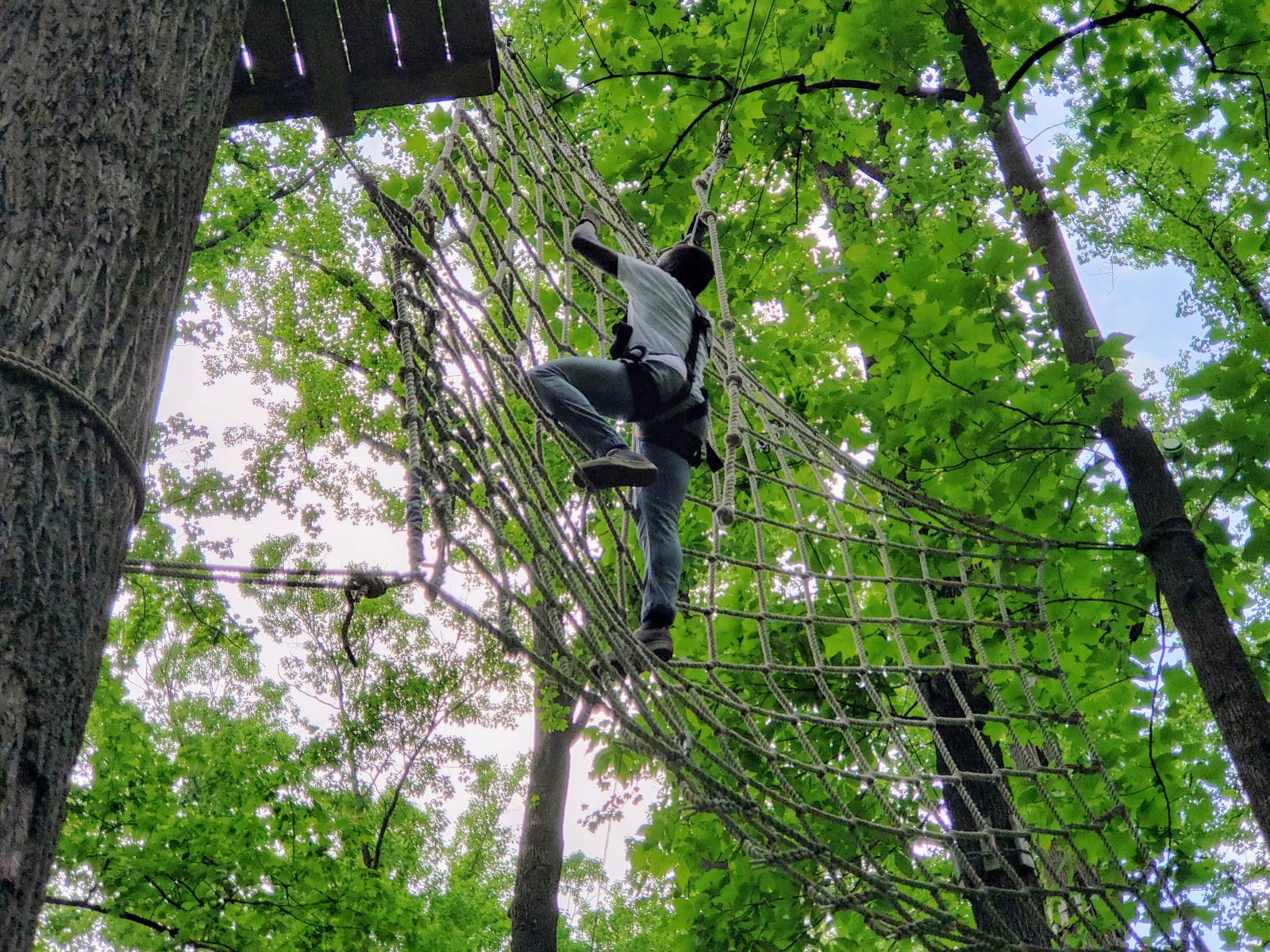 Ben's Journal: Adventures in Aerial Therapy - Sandy Spring Adventure Park