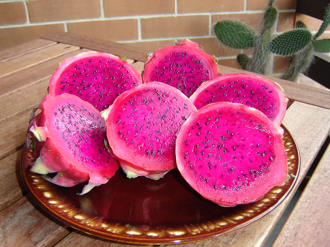 UN PARAÍSO EN CASA: CULTIVO DE LA PITAYA