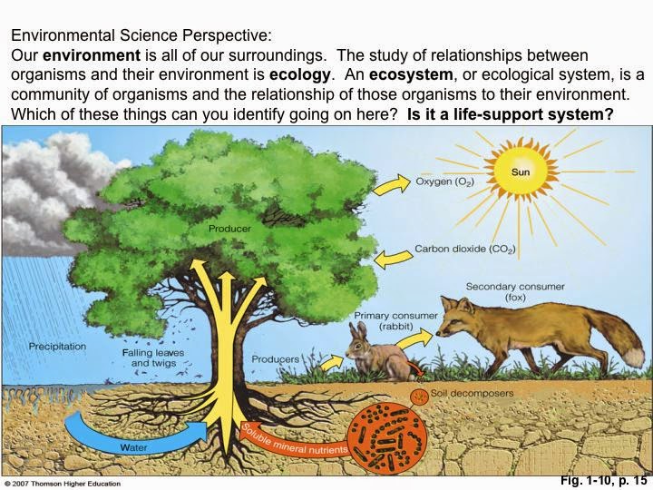 College Study Guides: An introduction to Physical Geography, Earth ...