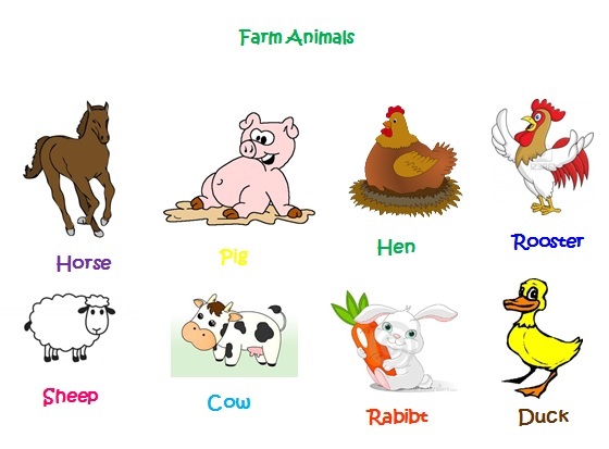 ENGLISH KIDS FUN: Farm animals