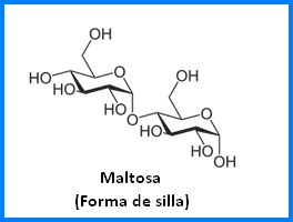 Química Orgánica: CARBOHIDRATOS