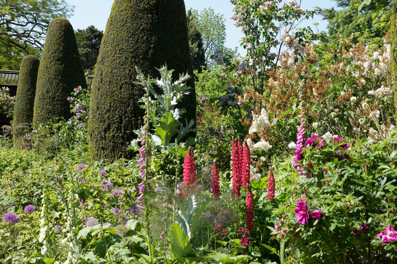 Organic Garden Dreams: Hidcote Manor Garden II