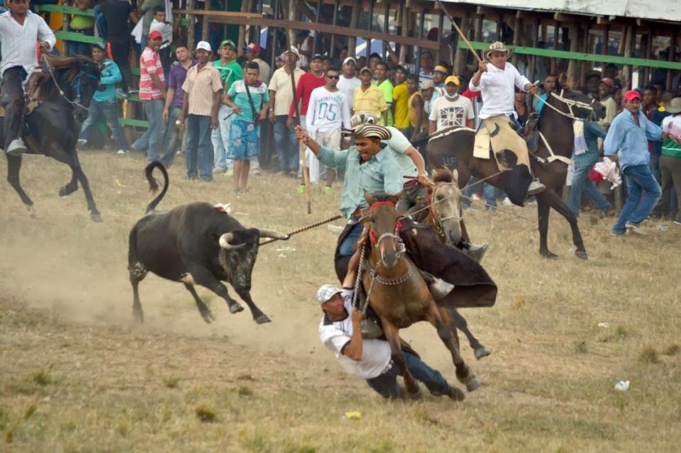 El Caribe, La Vanguardia De La Cultura En Colombia : Las Corralejas