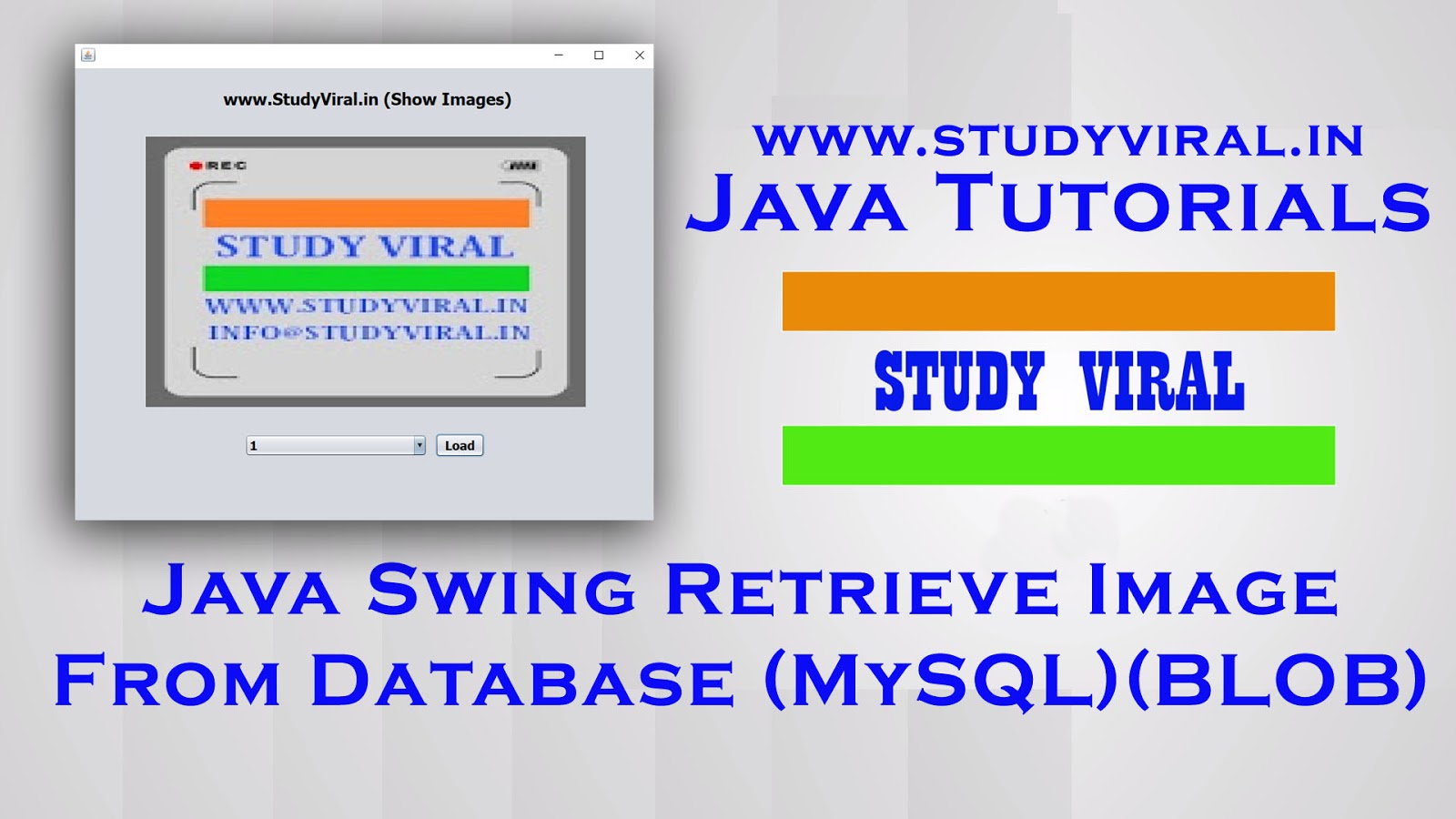 Java Swing Retrieve Image From Database (MySQL) as BLOB - StudyViral ... Java Swing Retrieve Image From Database (MySQL) as BLOB - StudyViral ...