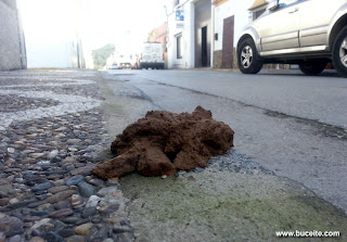 Buceite.com: Noticias de Jimena de la Frontera, San Pablo de Buceite ...