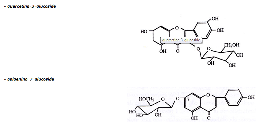 MoliSeb Wine & Food Blog: CHE SIA LA VOLTA BUONA?