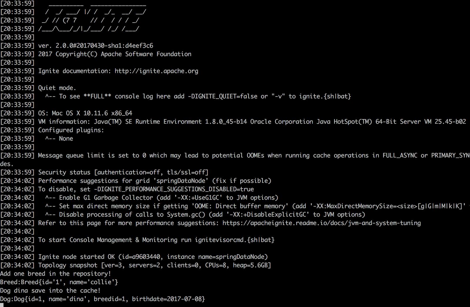 Apache Ignite With Spring Data
