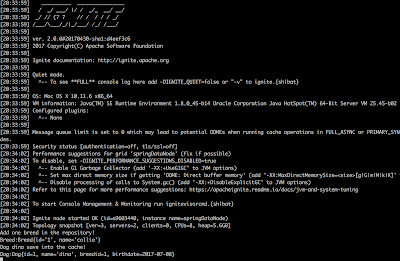 Apache Ignite with Spring Data