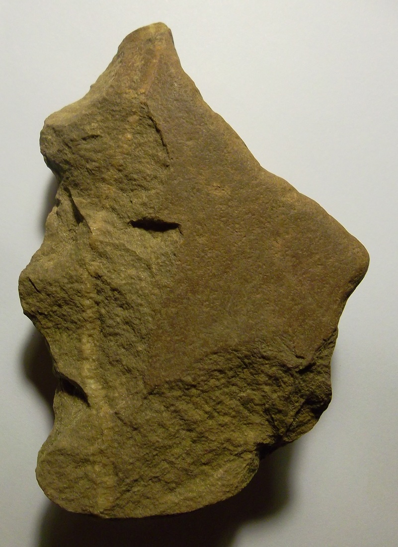 Archaeology of Portable Rock Art: "Lion present at birth from egg," may ...