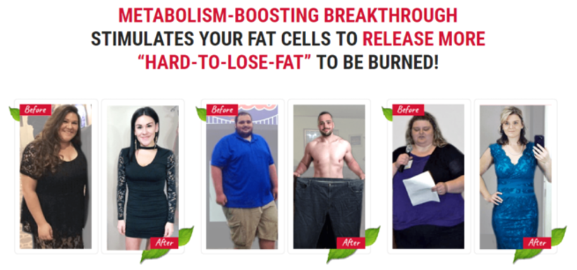 The 4 Week Diet System Review | Is Brian Flatt’s Four Week Diet Plan Scam?