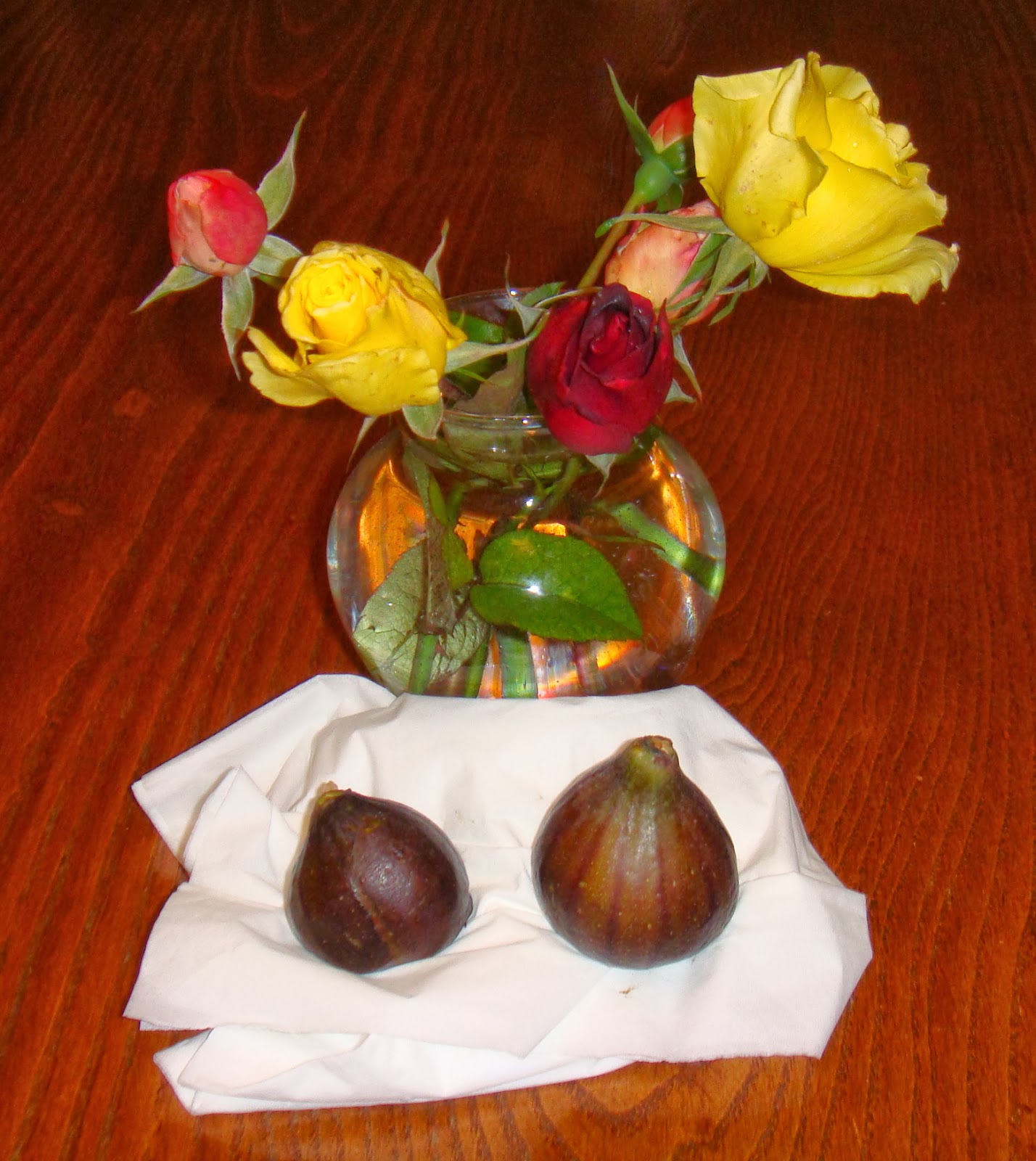 The Cross & The Cosmos : The Fig Harvest