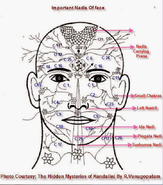 ΠΡΟΣΕΛΗΝΕΣ: Nadis, the Channels of Life force Energy