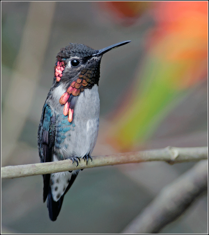 Explorations of an Ecologist: 2016 (part 1)