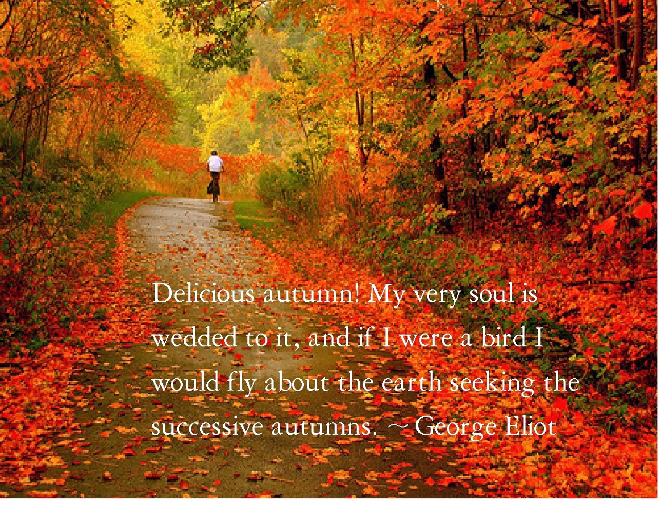 Nick's Bytes: Graphic Wisdom on the Autumnal Equinox