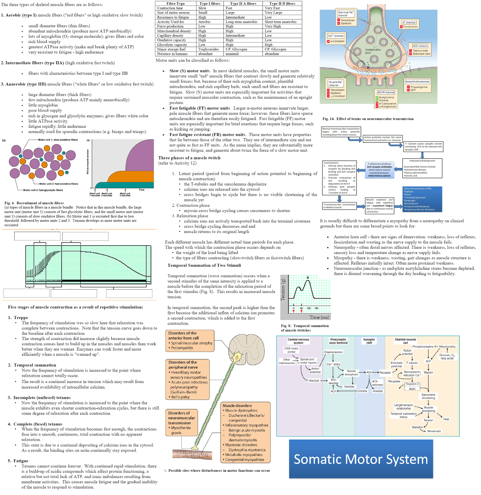 Medical Concept maps : Musculoskeletal system