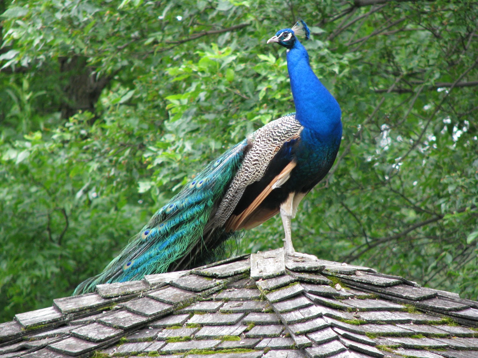 On the Bright Side: The Most Beautiful Things