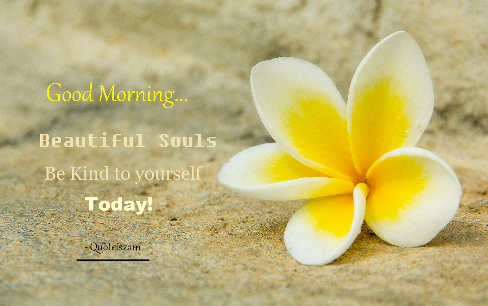 Good Morning Beautiful Souls Be Kind To Yourself Today