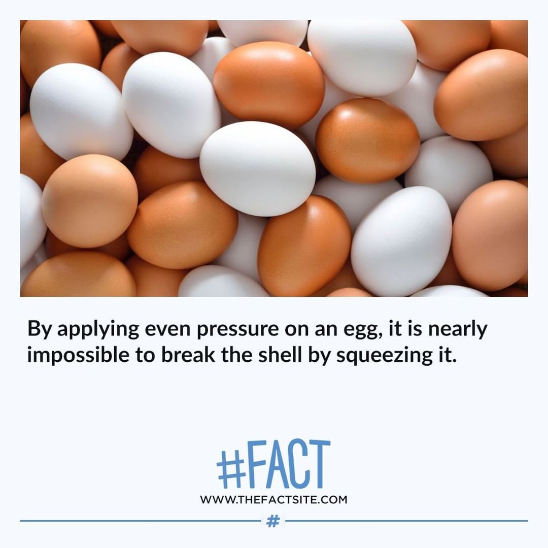 10 RANDOM TRUE FACTS – FUN FACTUAL ACTUAL FACTS 7 | Amazing WTF Facts