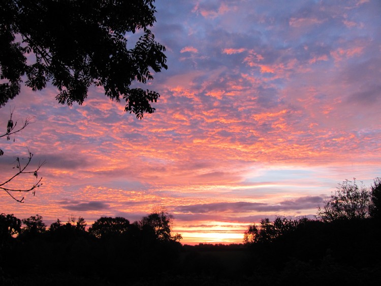 TISOTIT: Random Nature Photos