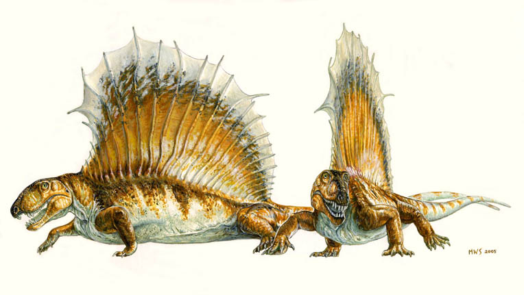 Palaeos, la historia de la Vida en la Tierra: ¿Tiene el Dimetrodon una ...