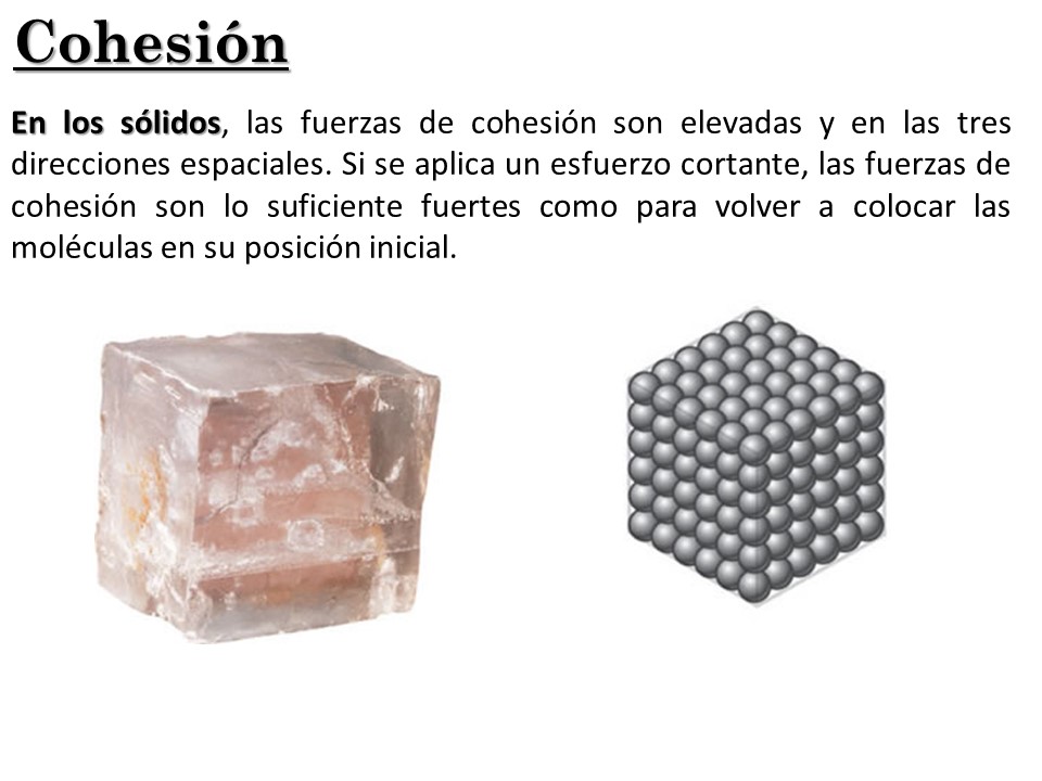 Física: Presentación Cohesión, Adherencia y Capilaridad