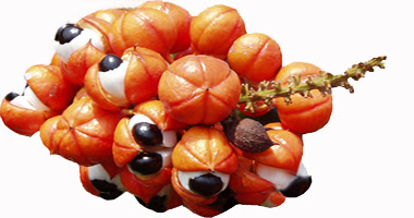 Fruits Of Earth.: Benifits Of Fruits of Earth