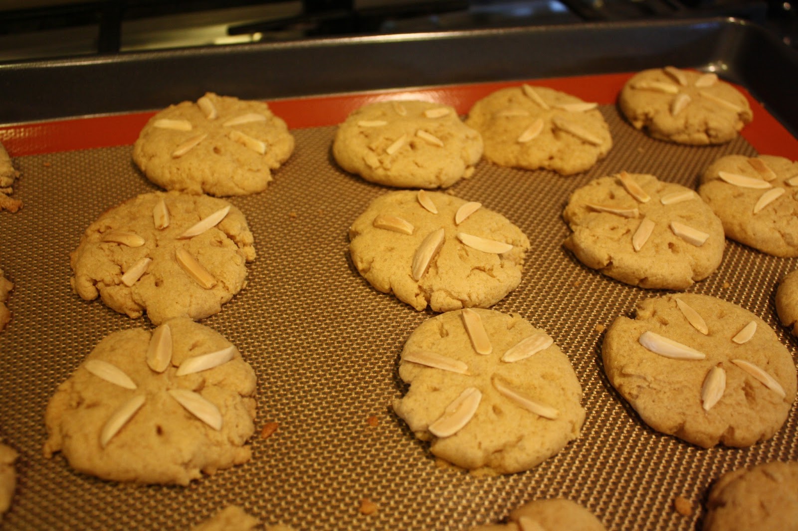 Lactose-Free Girl: Sand Dollar Cookies