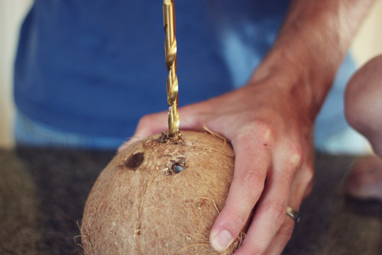 BeccaMarie Designs: How to Prepare a Coconut