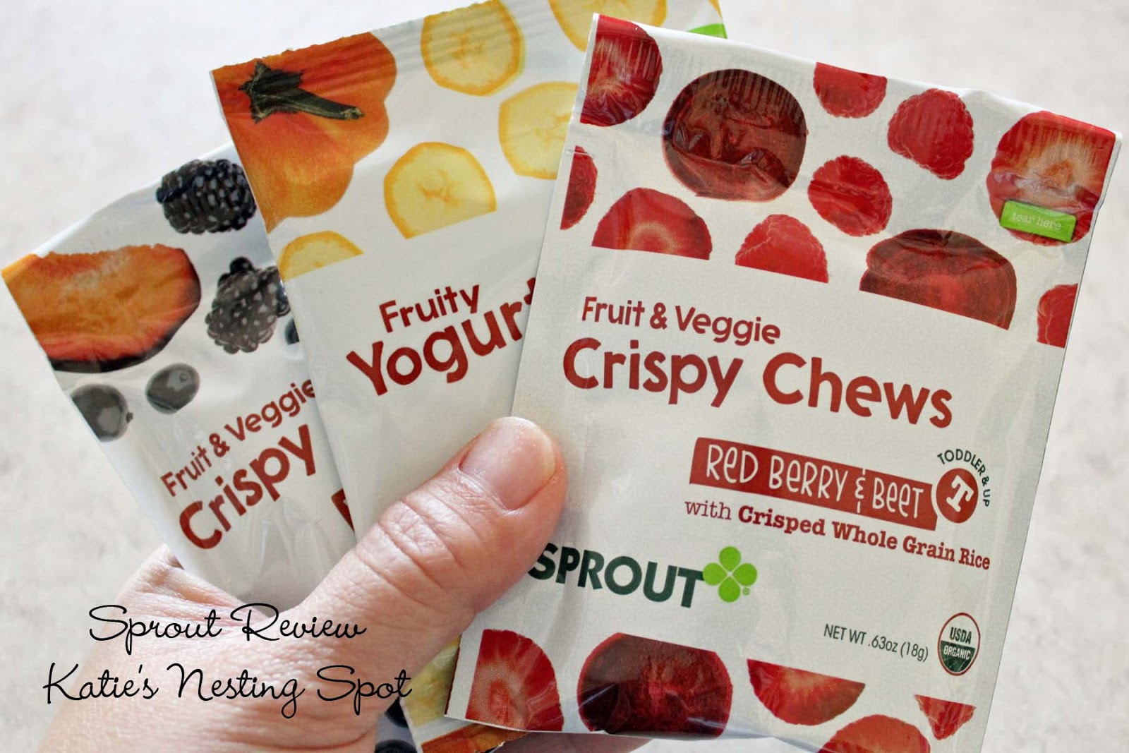 Katie's Nesting Spot: Review & Giveaway: Sprout Organic Foods - Toddler ...