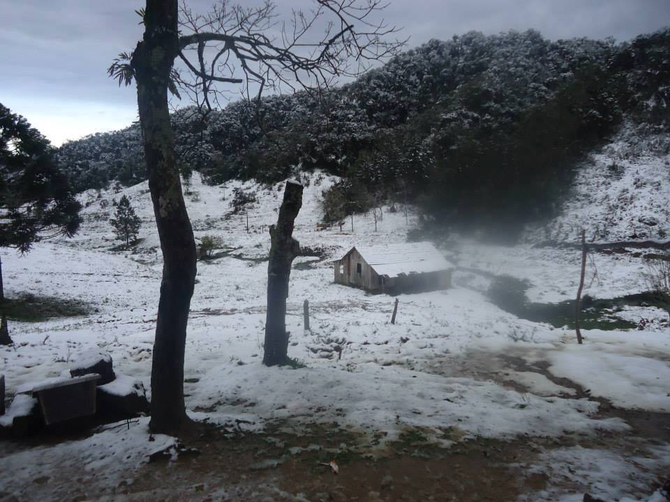 cores do ipê: Neve no Faxinal do Bepe em Blumenau