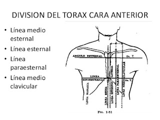 Mercedes Laura Pacheco - Semiología Quirúrgica UTESA Santiago -: Examen ...