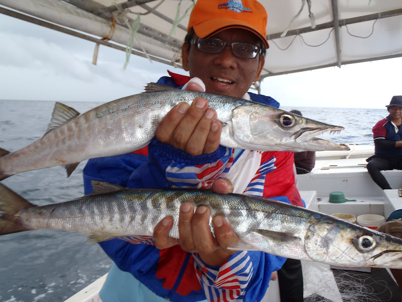 KINGFISH ANGLER : MENUAI IKAN PUTIH DAN TITIR