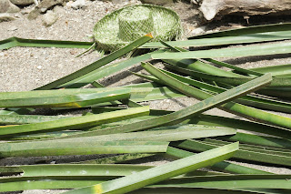 Bulusan Leaf Weavers: Karagumoy before the weaving