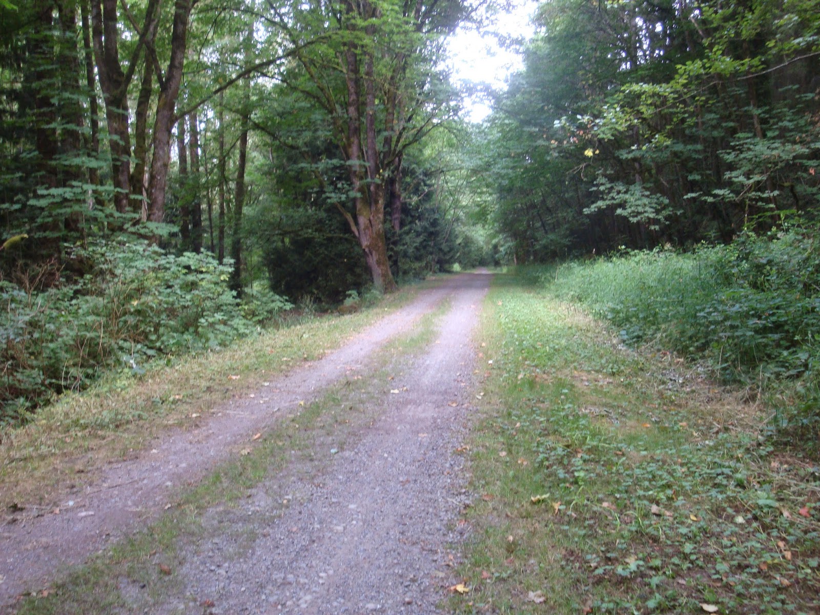 TrailMixxx: Grand Ridge Trail to Duthie Hill Mountain Bike Park