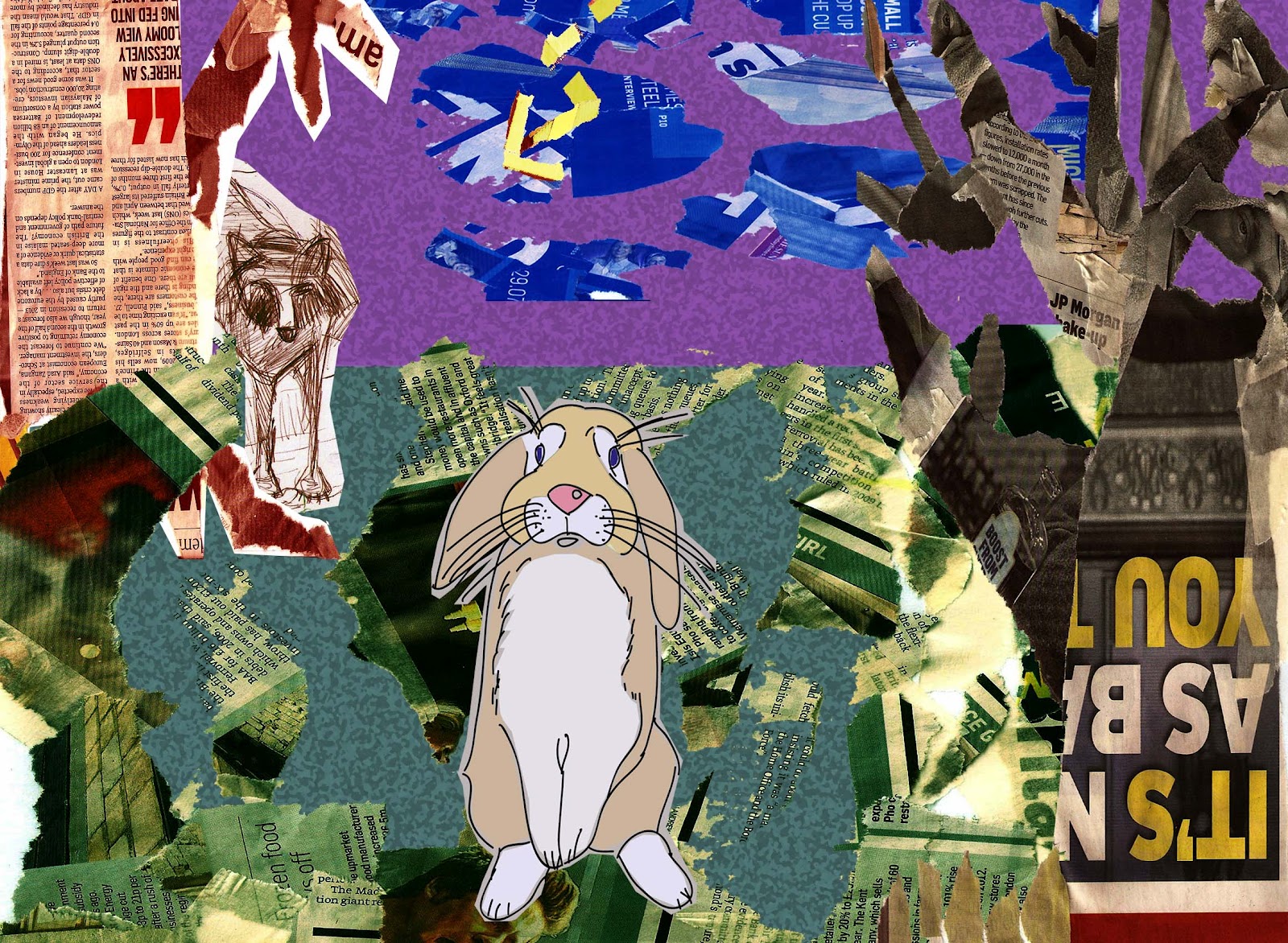 kasia lovick oca illustration