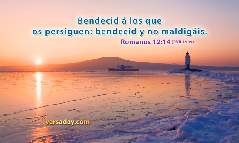 Aprendiendo la Sana Doctrina: AMAD A VUESTROS ENEMIGOS, BENDECID A LOS ...