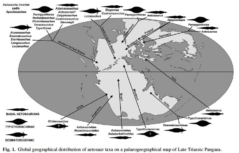 The Dragon's Tales: Aetosaur Awesomeness!