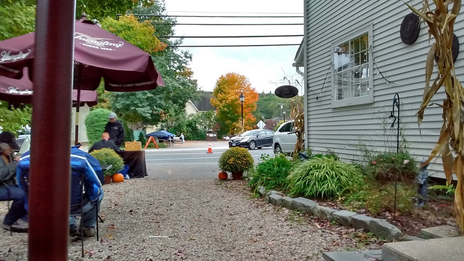 Adventures for Anyone: The Best of My Fall Photos...In Connecticut!