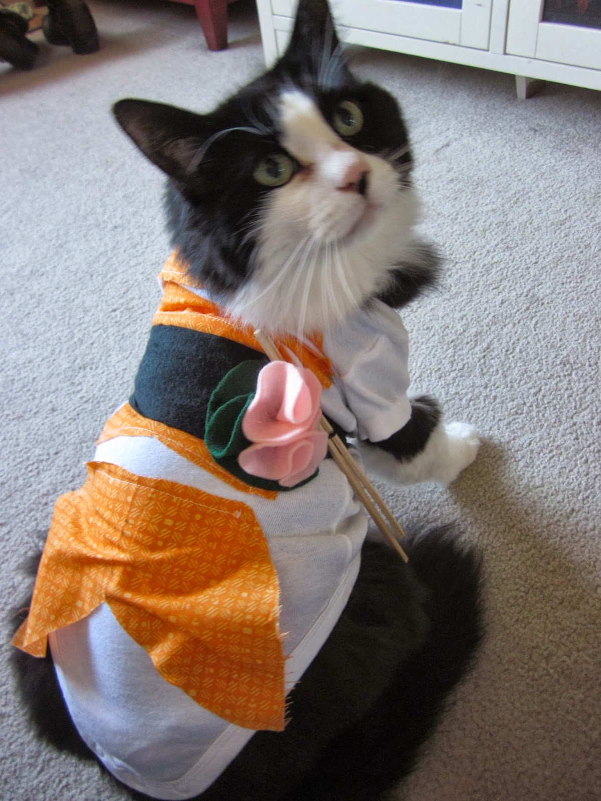 Queen B Creates: Sushi Pet Costume