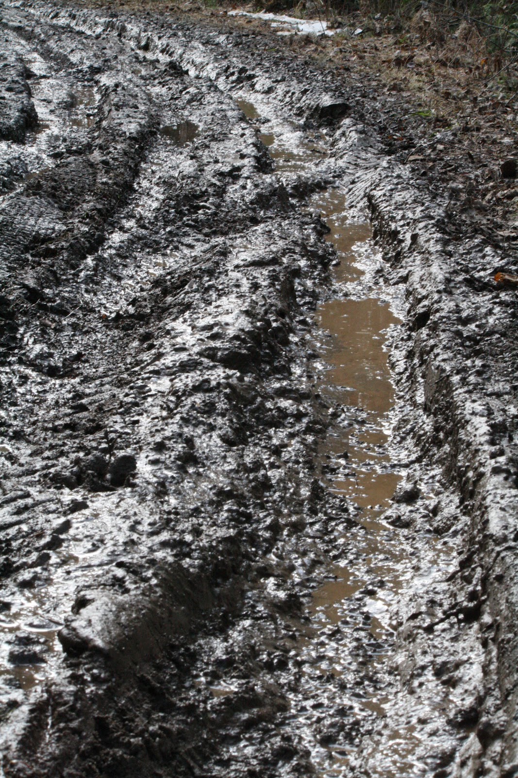 No Ordinary Sparrow: Spring + Boys + Mud = FUN!