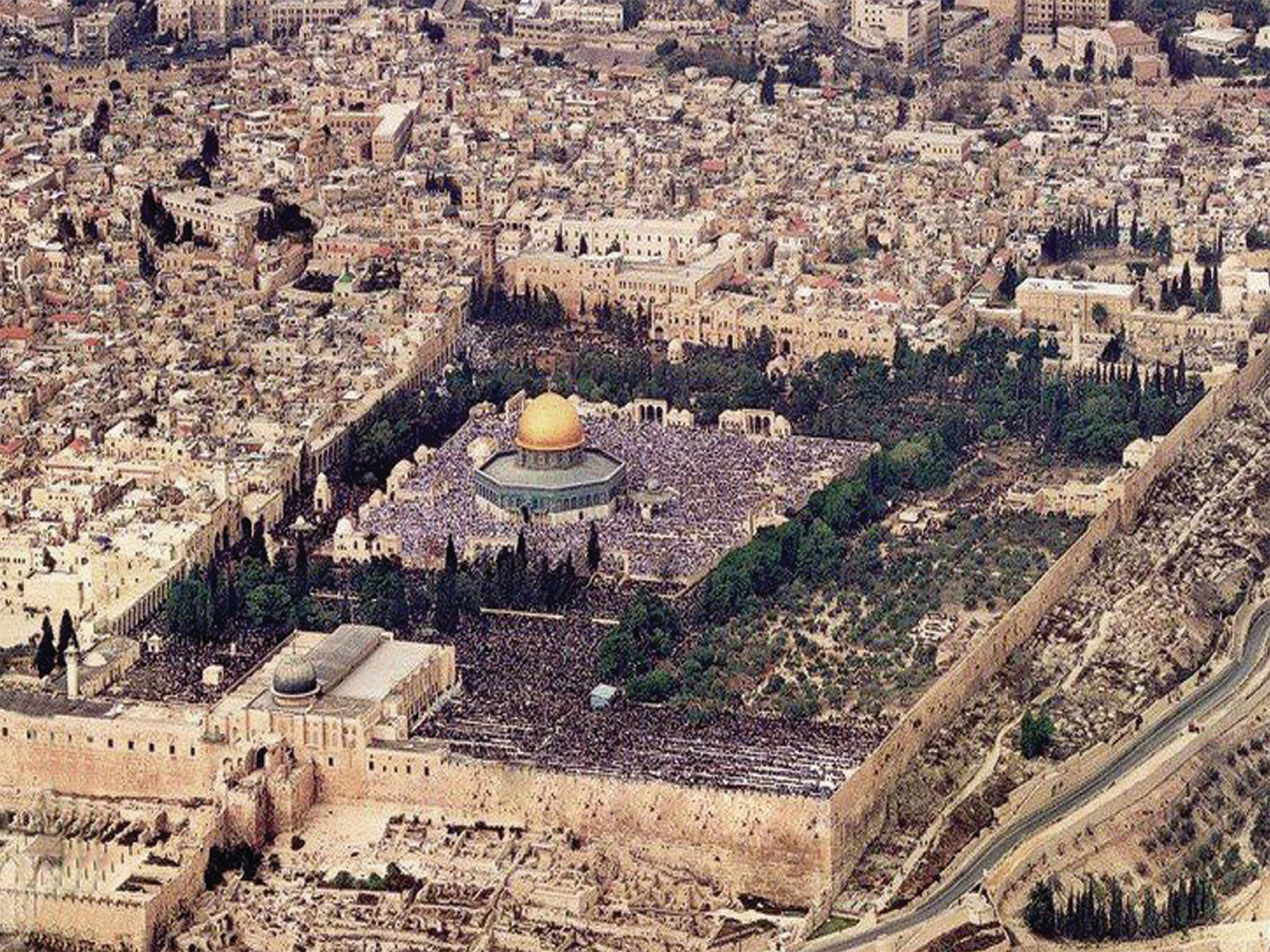 Wallpaper-Picture Source