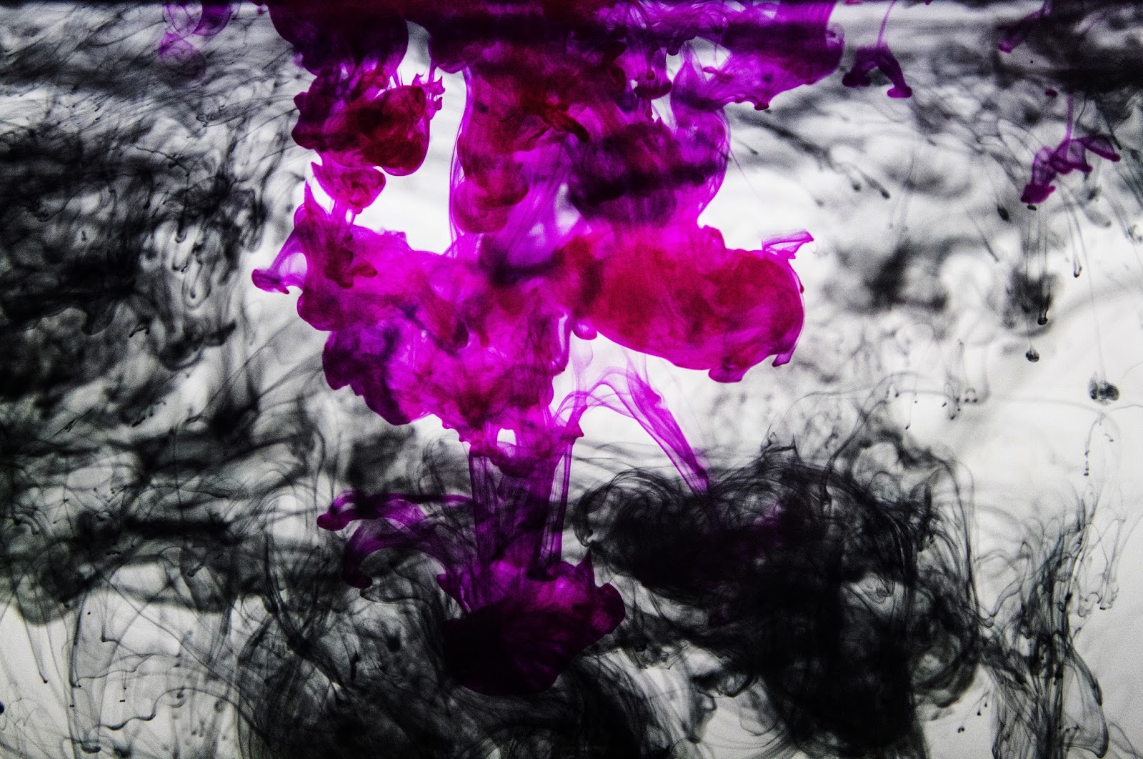 Unit 1 Photography: Ink Dispersion