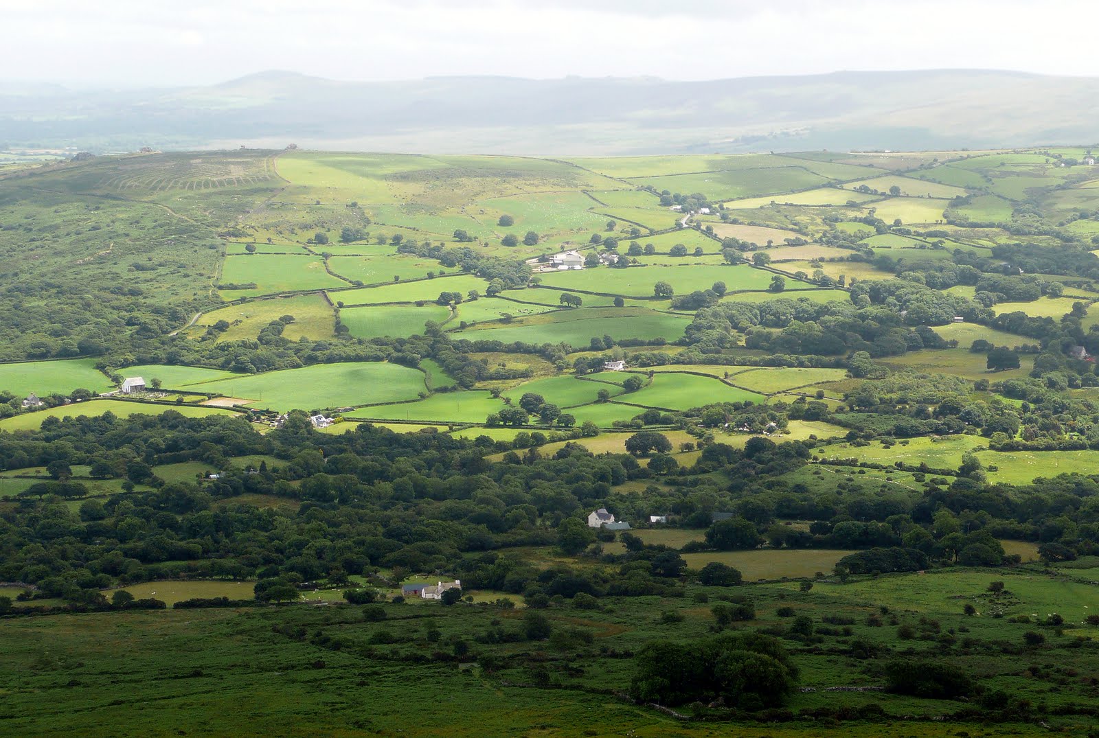 Moors and More: Mynydd Carningli (above Newport)
