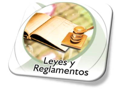 Etica con willy: EL SENTIDO DE LAS LEYES.....10° B
