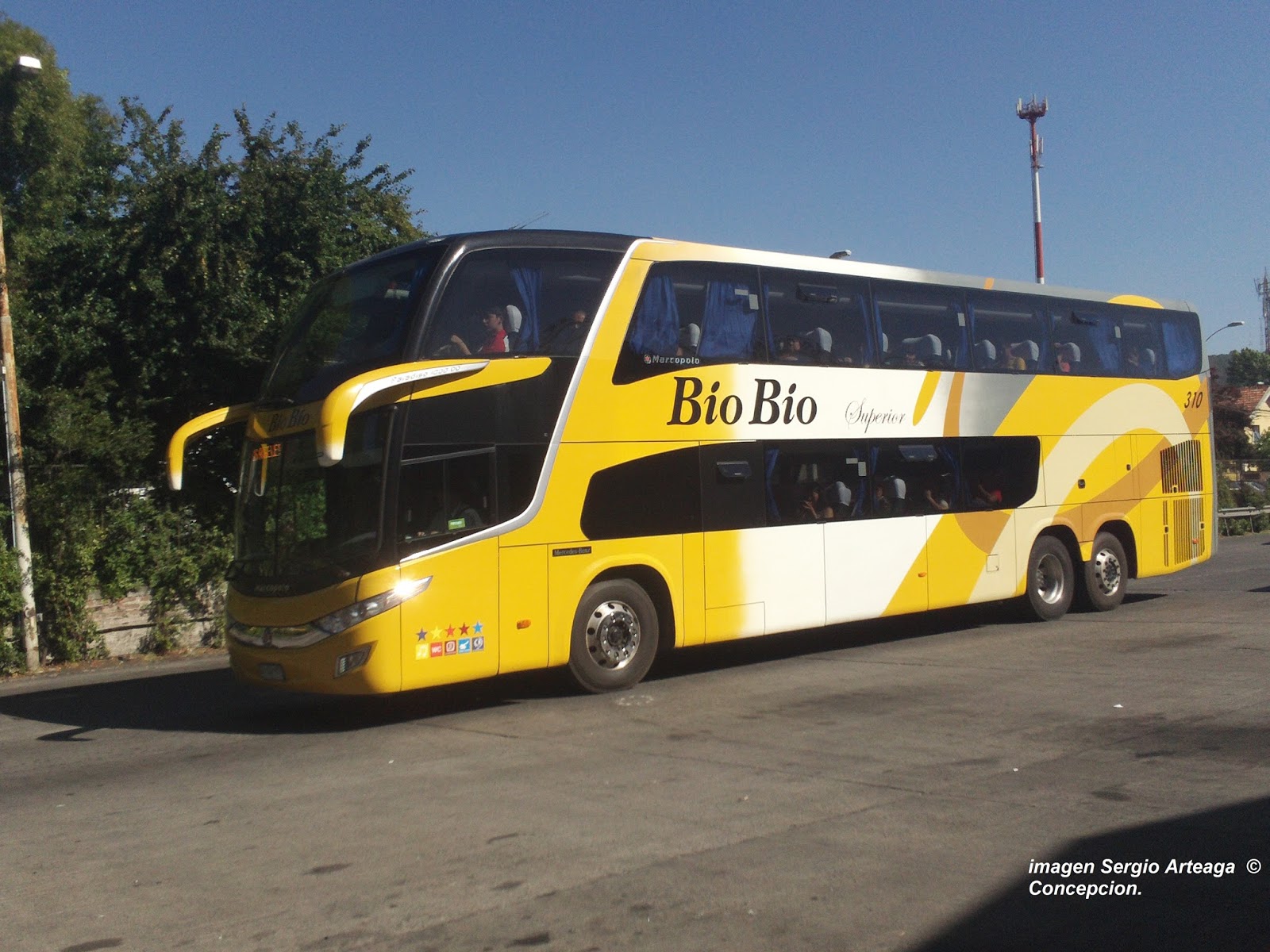 Buses Bio Bio: Buses Bio Bio