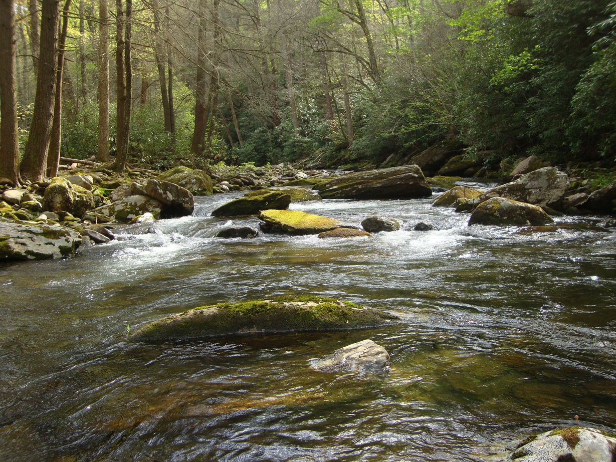 ~StreamSide Tales~: Birthday Weekend on the South Toe River