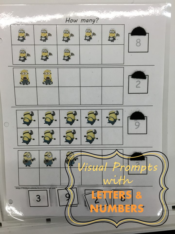 Little Miss Kim's Class: Using Visual Prompts in Special Education