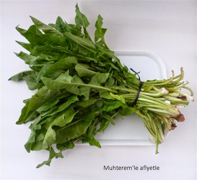 Muhterem'le Afiyetle: OT FESTİVALİ