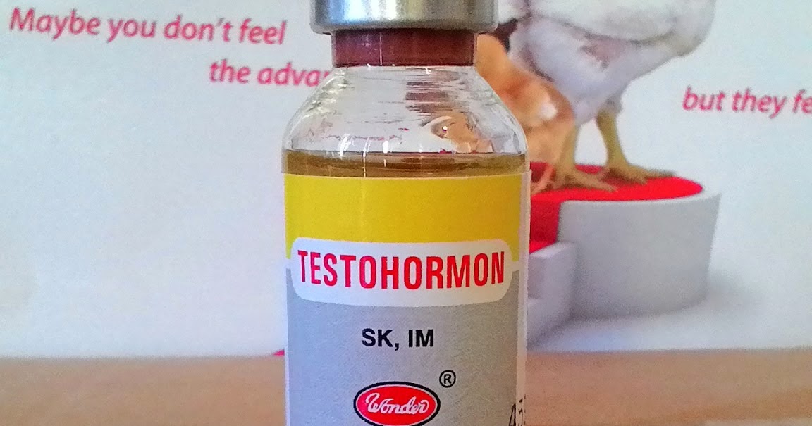 TESTOHORMON Hormon perangsang birahi jantan - OBAT HEWAN UNGGUL