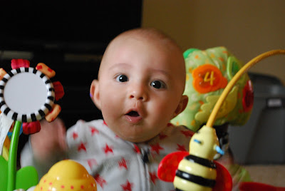 Dave, Becky, Mia, Kainoa Bear, and Baby Isobel